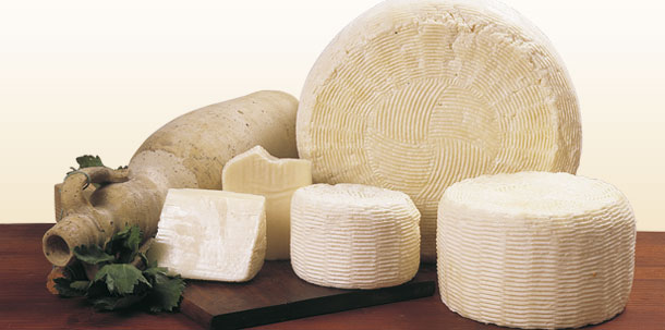 Primo Sale - Formaggio Fresco Siciliano Antico e Gustoso - Assolatte